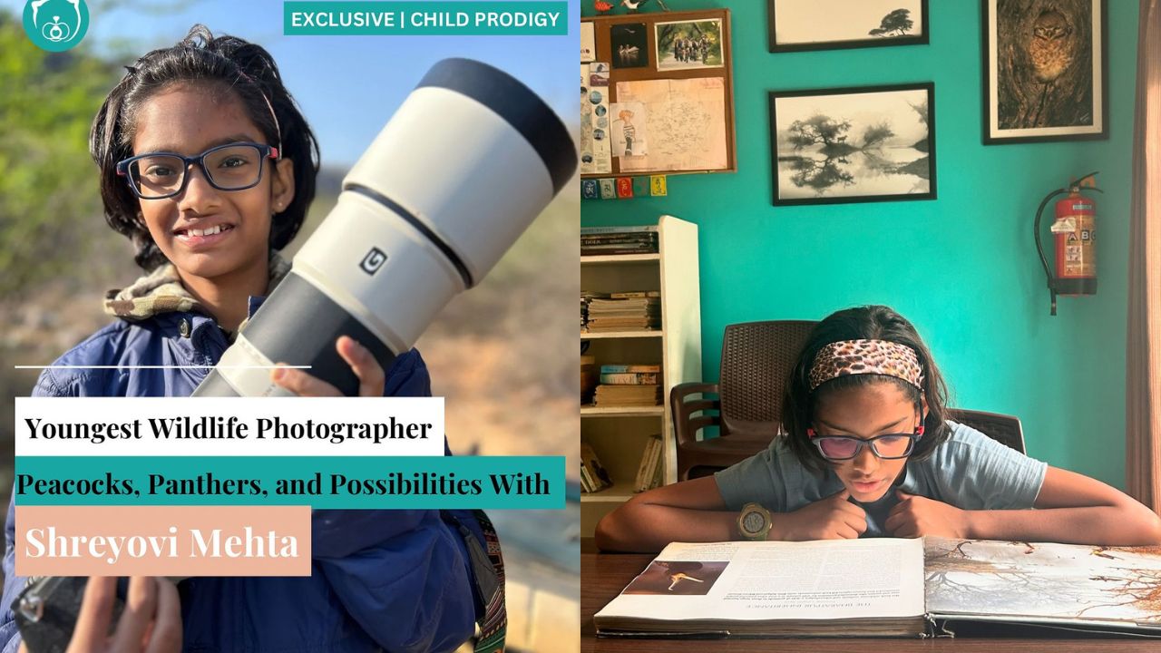 Shreyovi Mehta Wildlife Photography - Magazine Bull